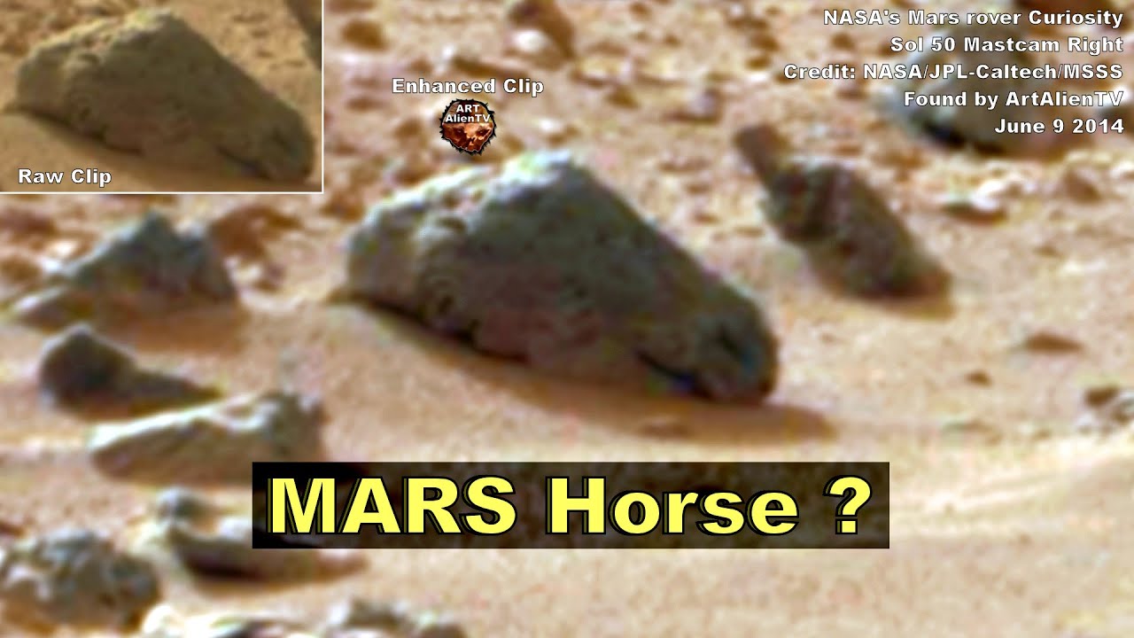 MARS Horse Cranium - Orohippus ? ArtAlienTV (2K R) - YouTube