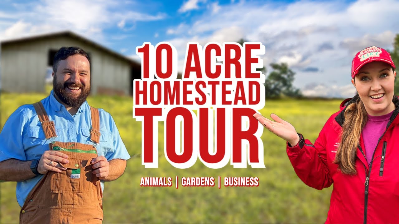 Full Tour of Our 10 Acre Homestead | Animals, Gardens, and our Farm ...