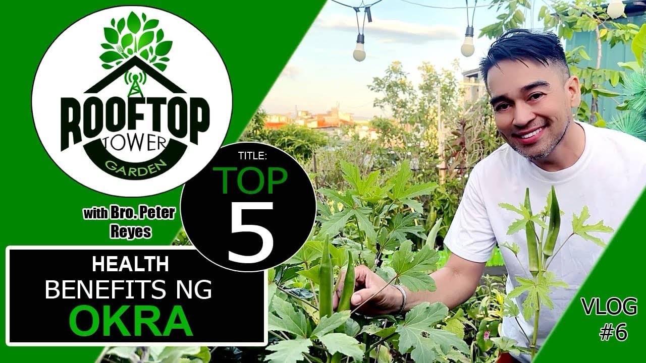 ANG TOP 5 HEALTH BENEFITS NG OKRA - YouTube