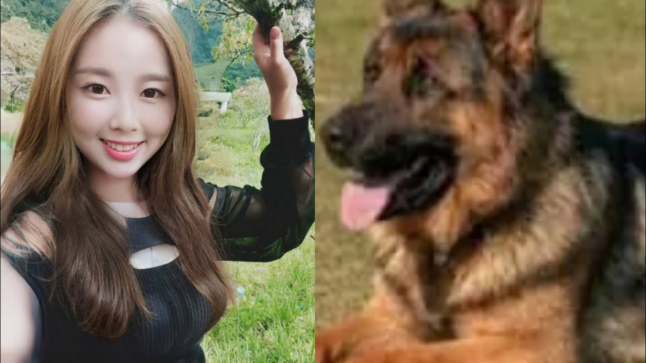 aim txiv aub thaum lub pob nkag mus tob2 lawm zoo nyob tiag2 - YouTube