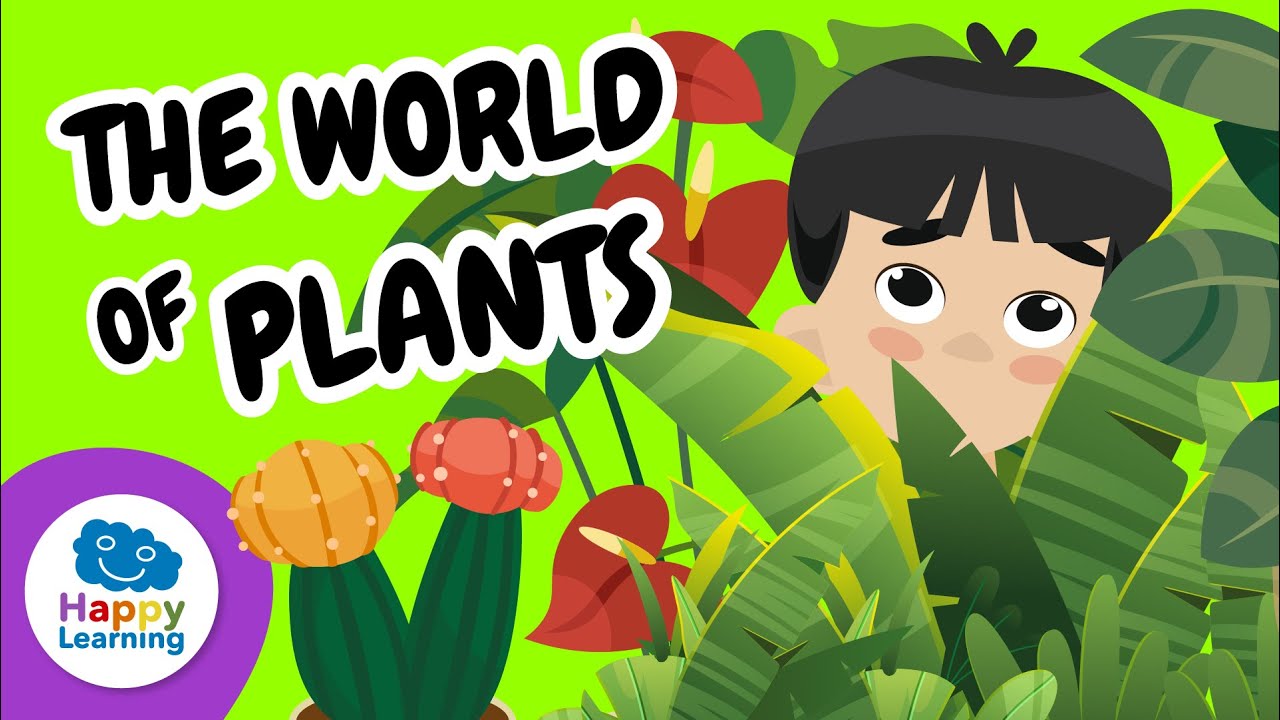 🌳🌿Explore the WORLD OF PLANTS | Educational Videos for Primary School ...