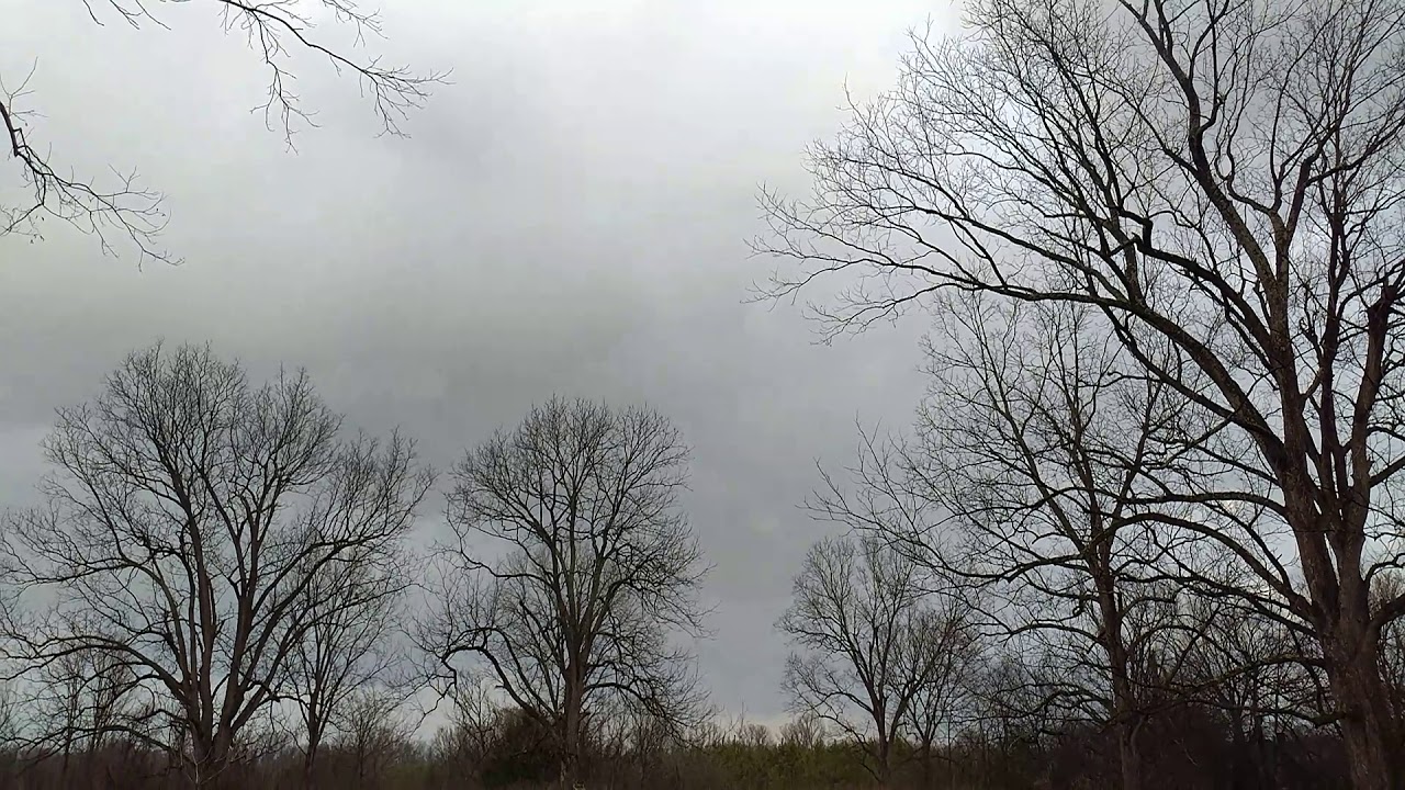 Arkansas Springtime In February??? - YouTube