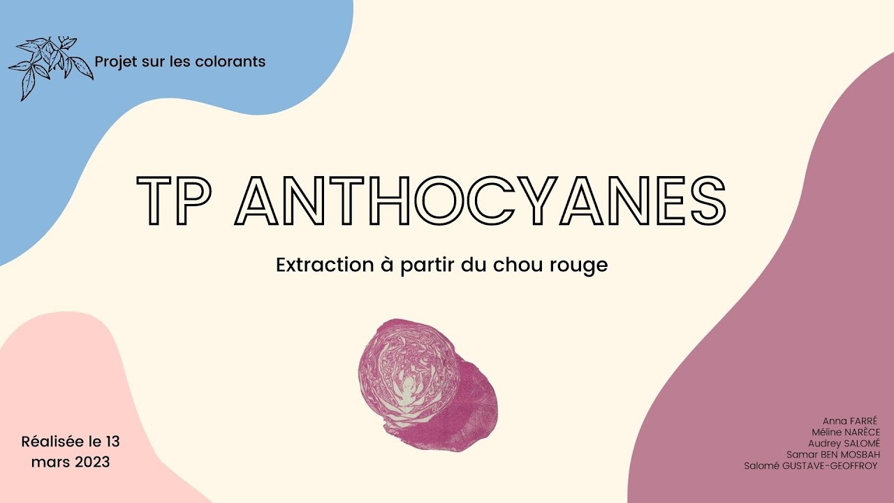 TP Extraction des anthocyanes à partir du chou rouge - YouTube