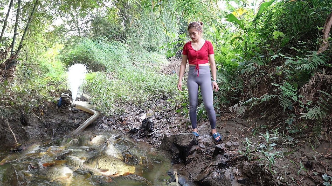 Top Video: Fishing techniques, Survival fishing, Catching big fish ...