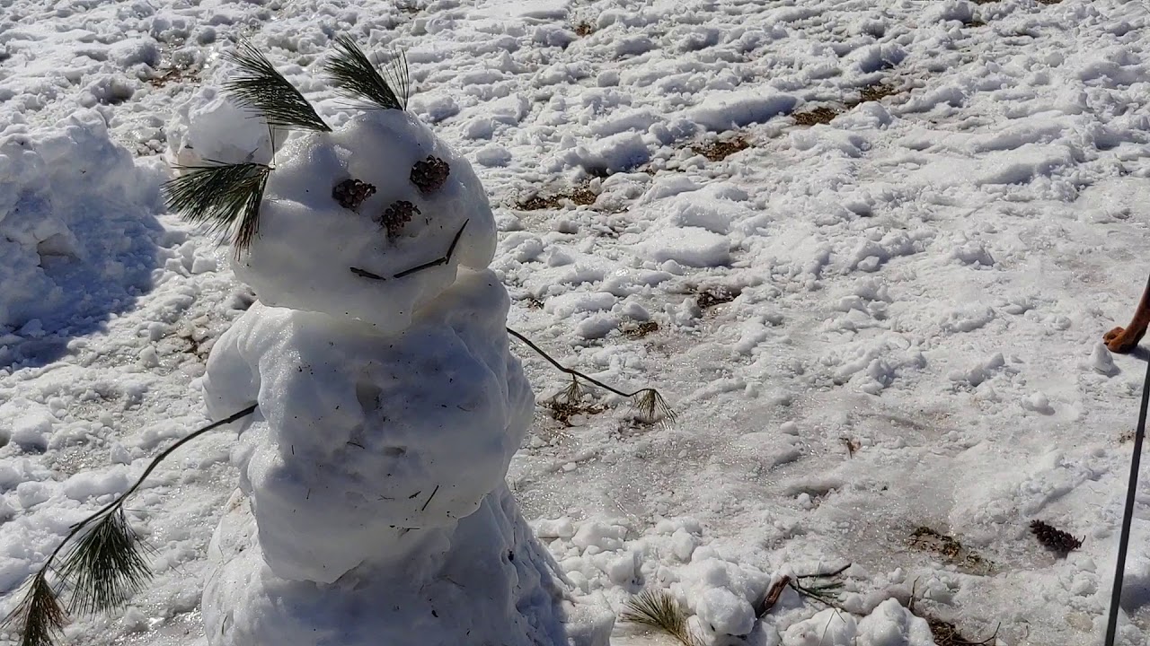 Ace the Doberman pees on snowman after 2019 snow storm - YouTube