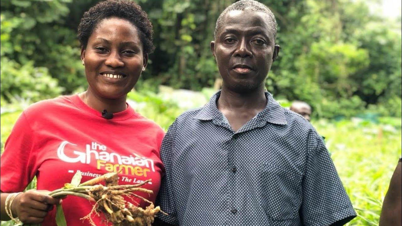 Profits From 15 Years In Ginger Farming Sponsored My First Son Through ...