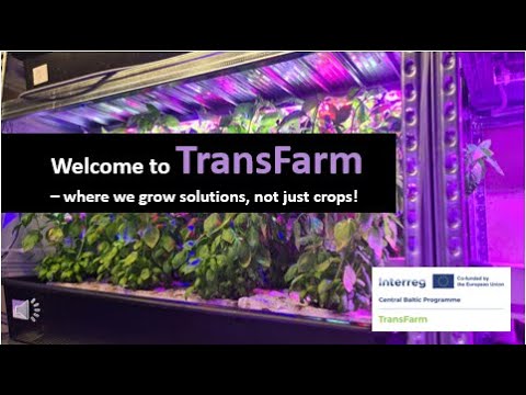 Welcome to TransFarm – where we grow solutions, not just crops!
