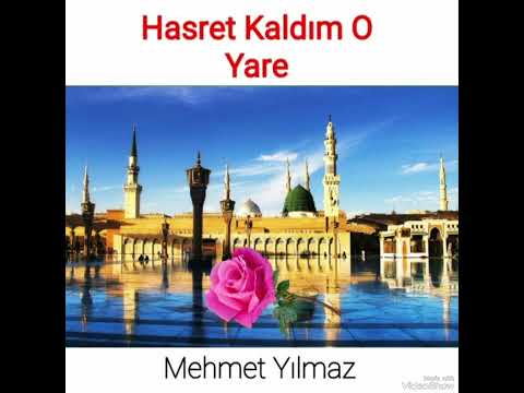 Mehmet Yılmaz Gider Diye