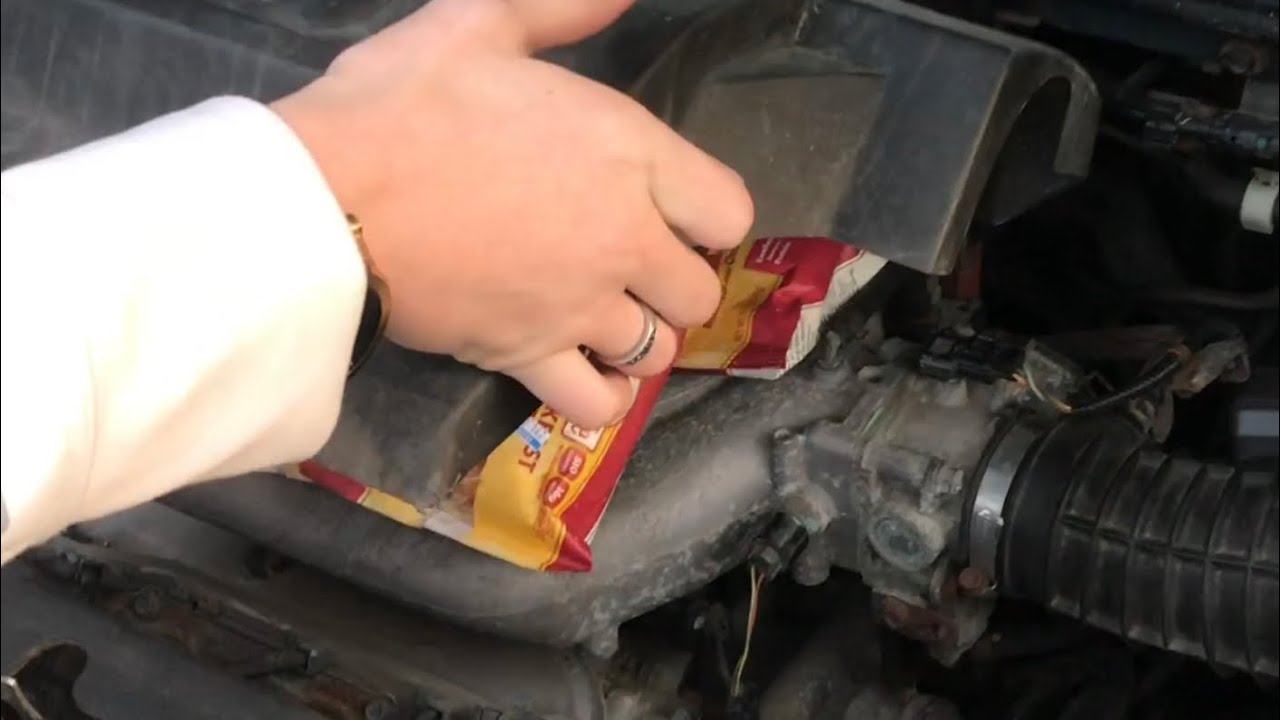 cooking on the CAR ENGINE works in the summer not too well in the ...