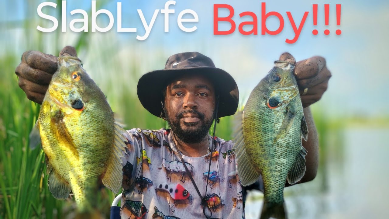 ACTION PACKED BIG BLUEGILL & MONSTER SHELLCRACKER FISHING‼️ #1hour # ...