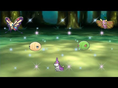 Live Shiny Wurmple Family after Less Than Total 5000 Encounters!!! In ...