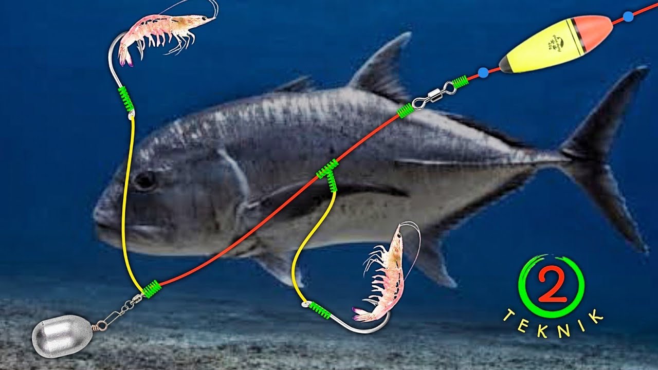 CERMATI Fungsi GANDA Rangkaian Pancing ini !! Cukup 1 untuk 2 Teknik ...