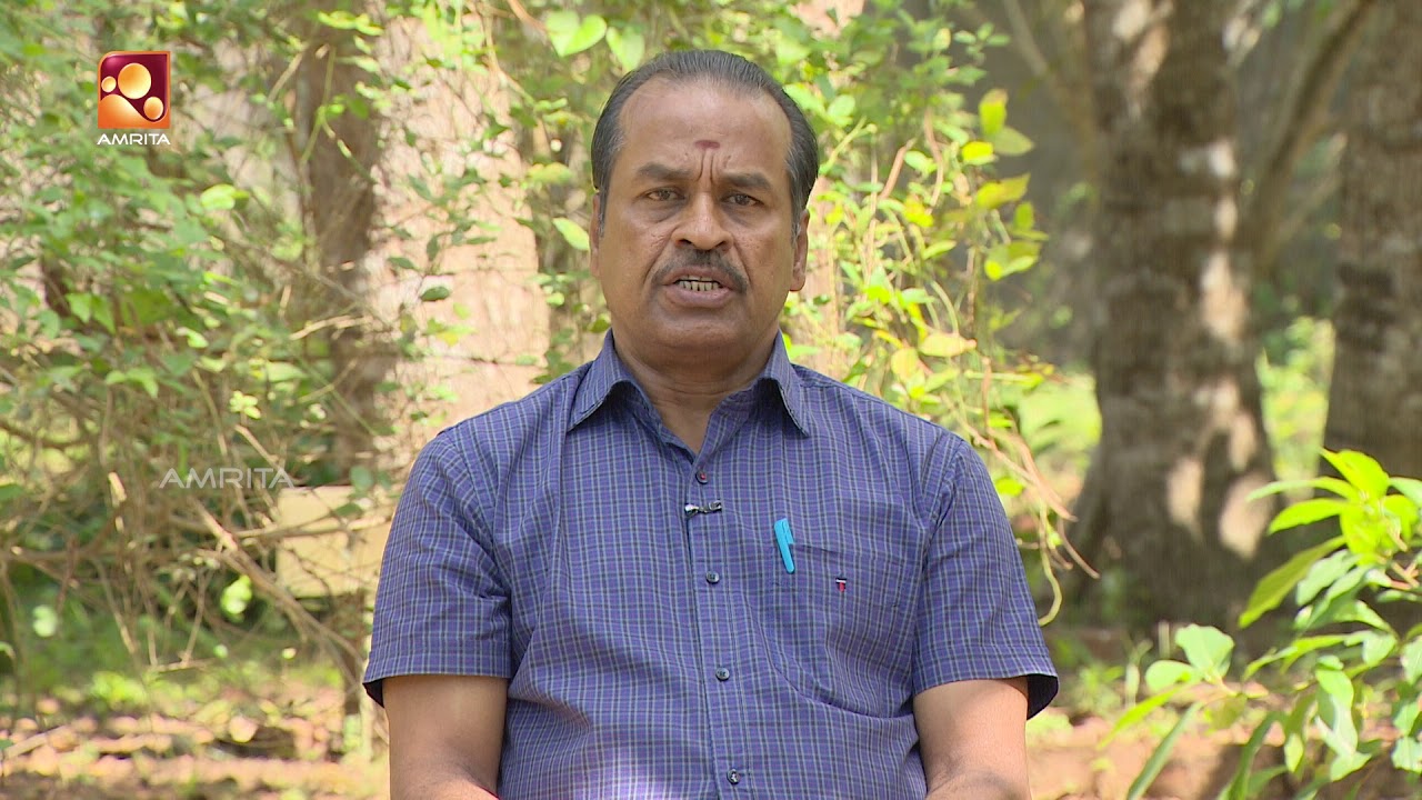 JEEVADHARA | Episode - 179 #AmritaTV - YouTube