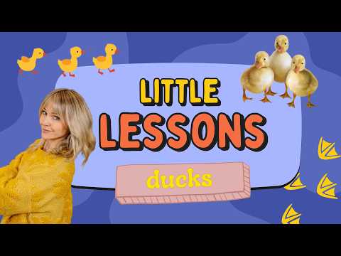 Quack, Quack! All About Ducks 🦆 | Little Lessons for Tiny Learners I Toddler Learning Videos