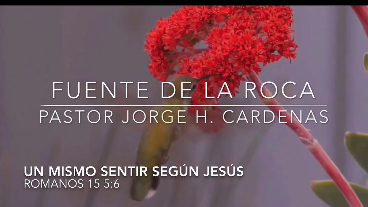 Un Mismo Sentir Según Jesús - YouTube