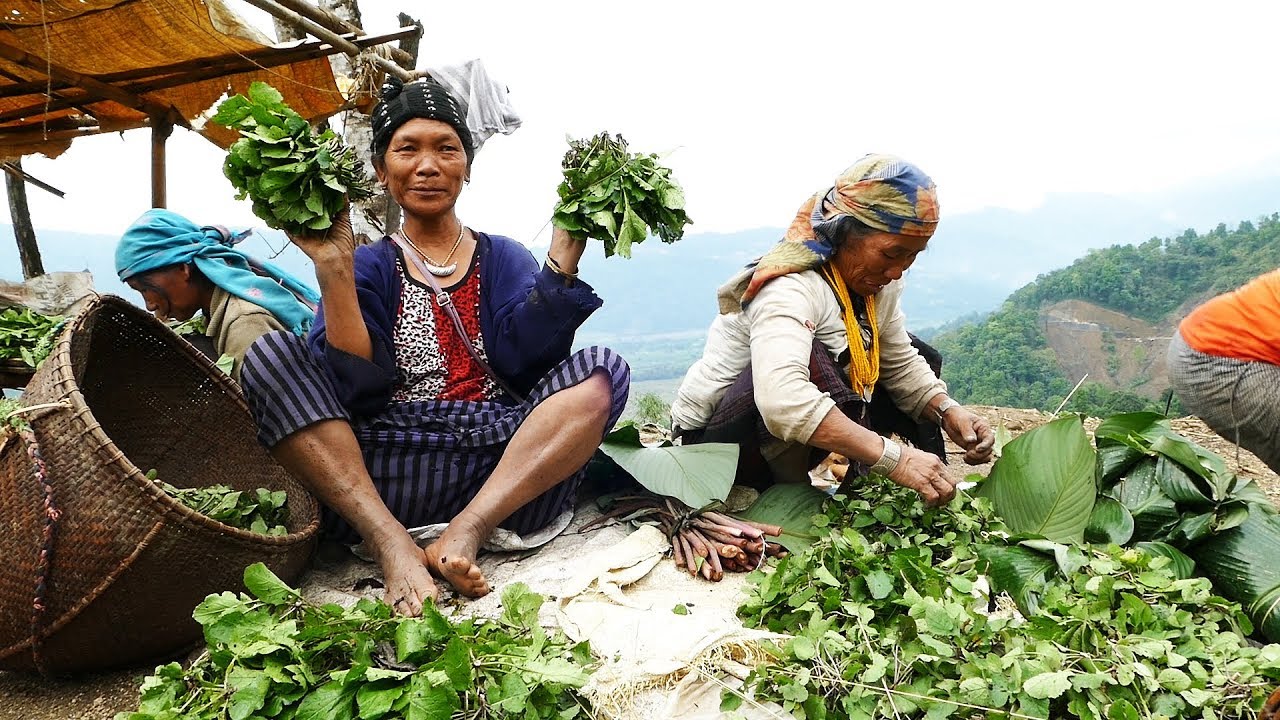 Amazing Fish and Vegetables in Pappu Valley || Arunachal Pradesh - YouTube