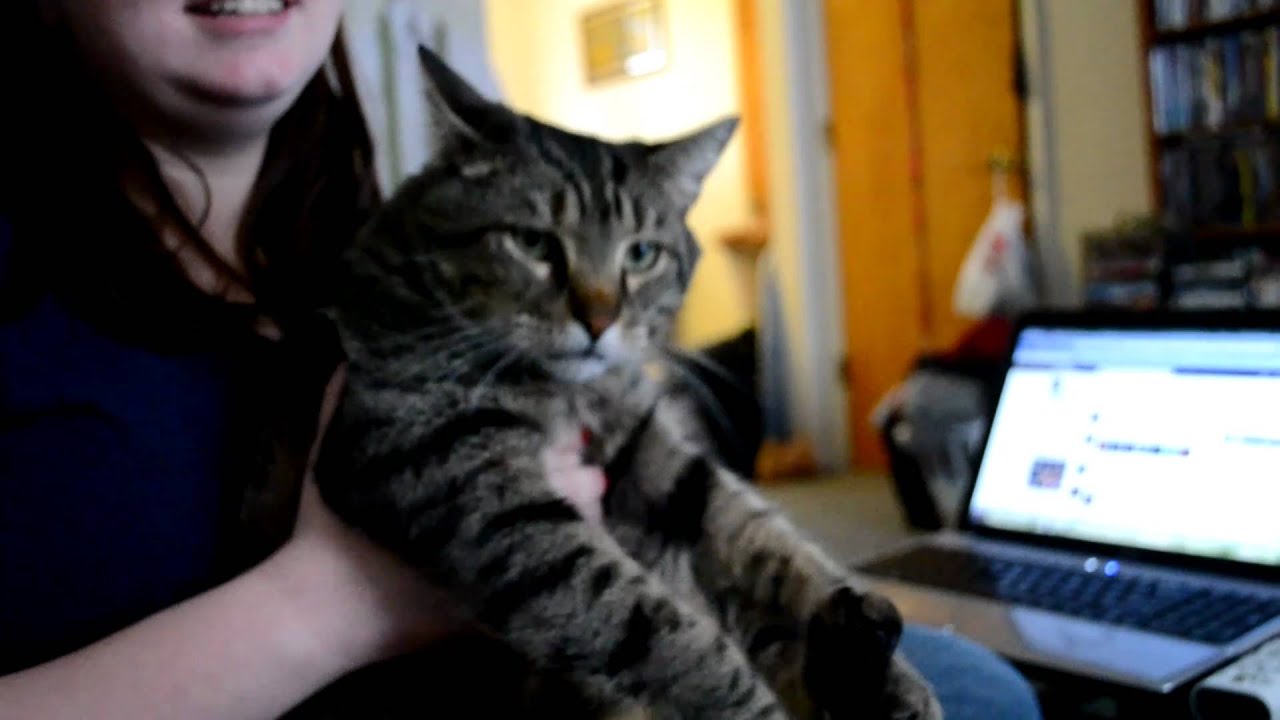 Jen yodeling with the Cat. - YouTube