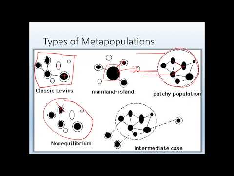11E Spatial ecology Metapopulation type and conservation - YouTube