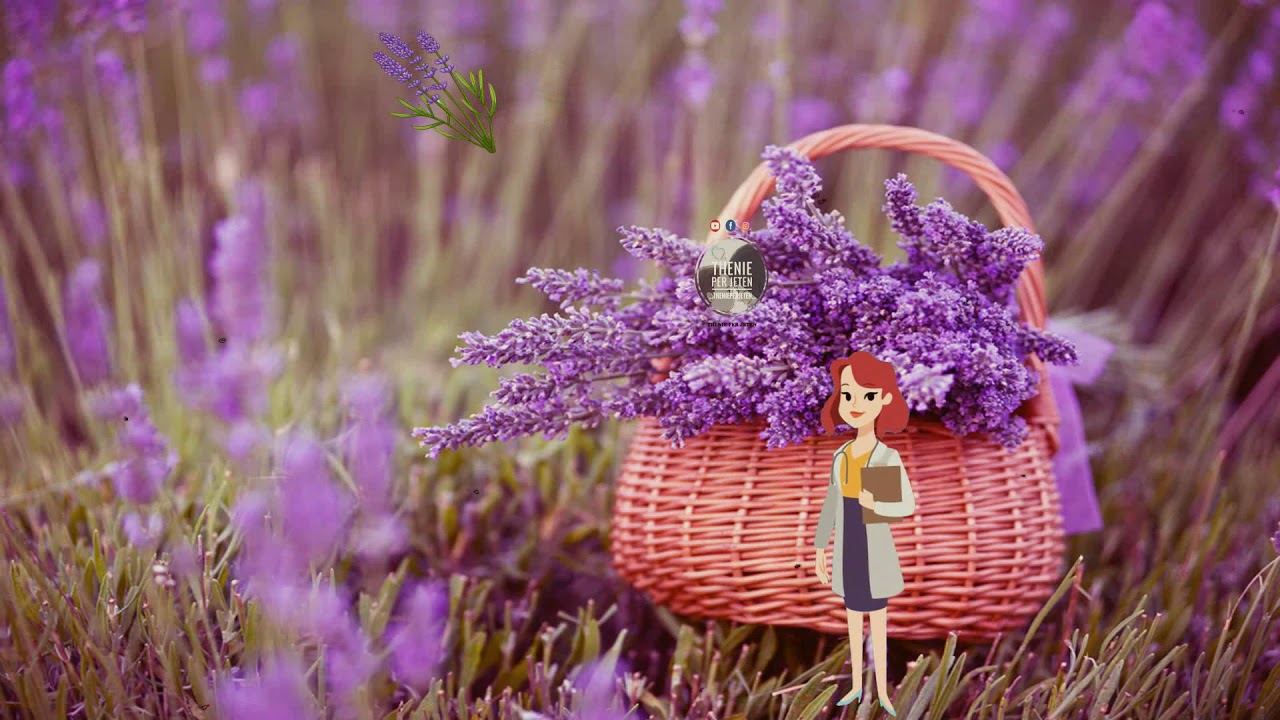 Livando, të gjitha arsyet pse duhet ta keni në shtëpi këtë bimë ...