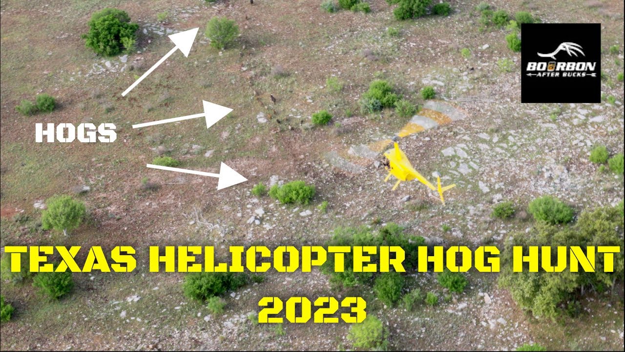 Squeals And Thrills: The Ultimate Texas Helicopter Hog Hunt Of 2023 ...