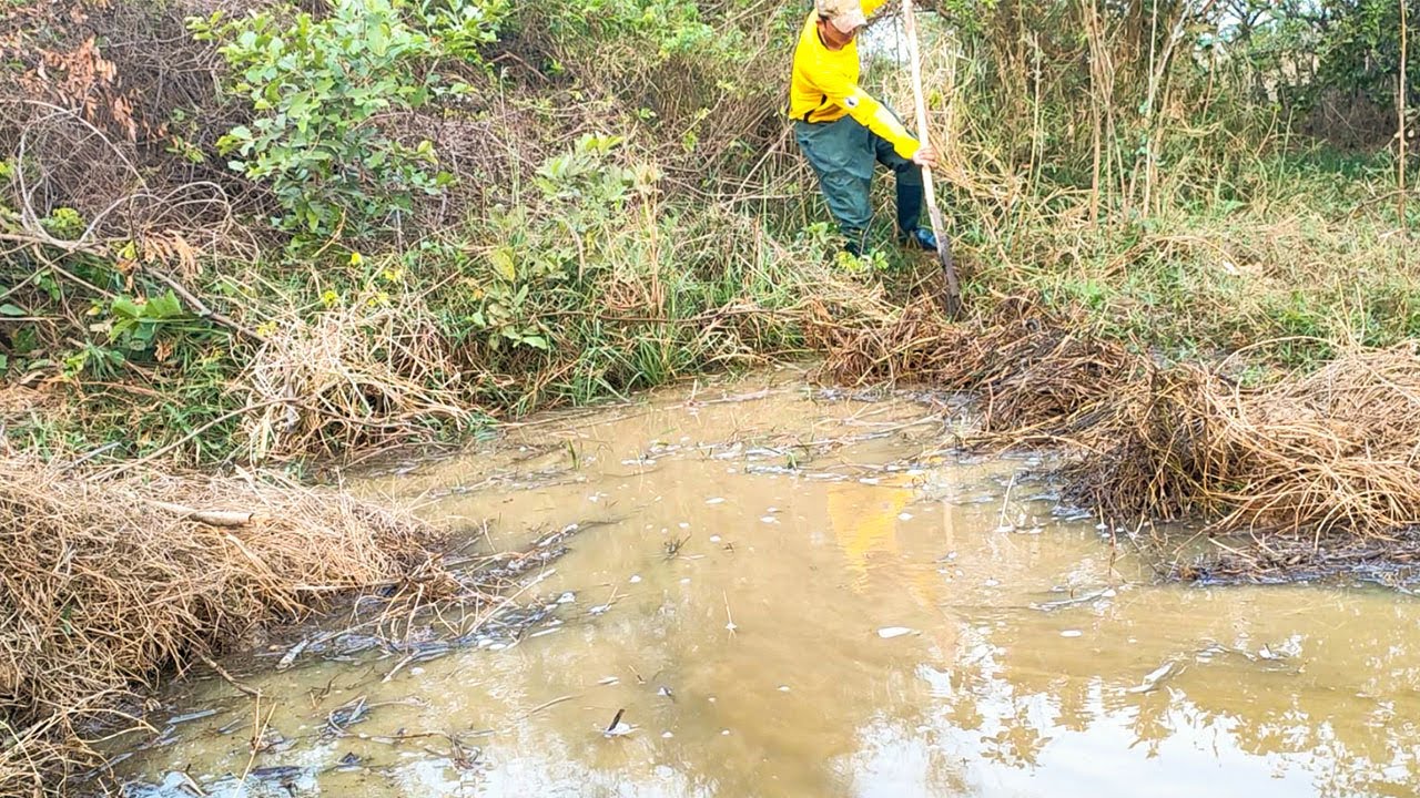 Removing Trash And Debris Flow Clogged Way Drain Water To Farm Near ...