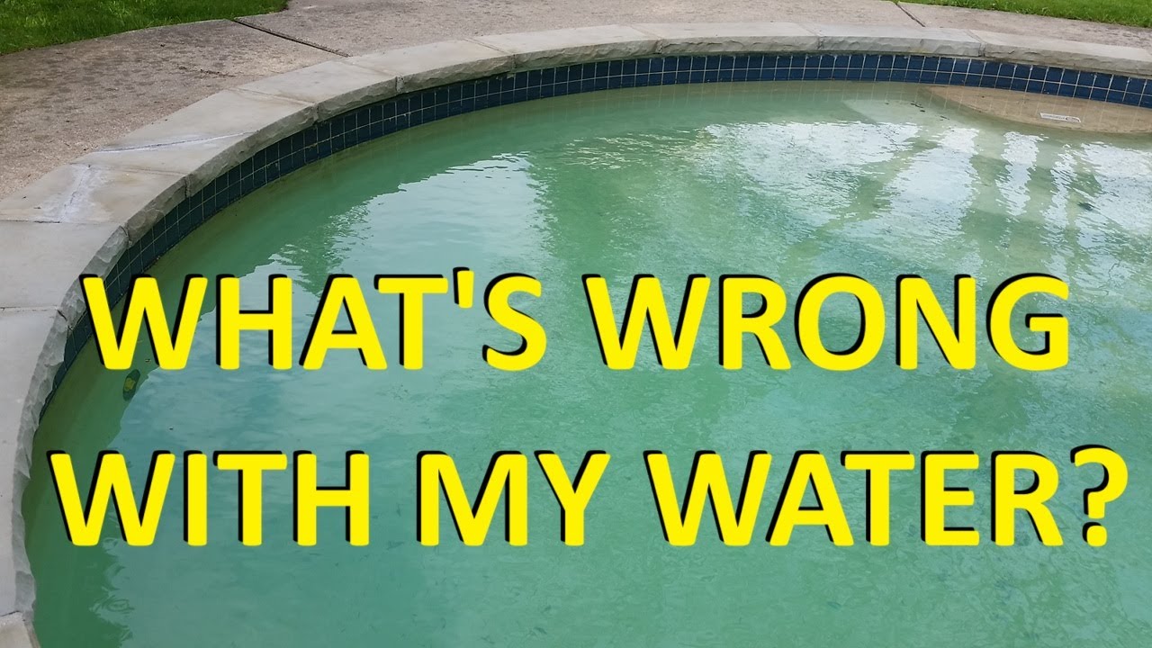 How To Check Swimming Pool Water Quality? - YouTube