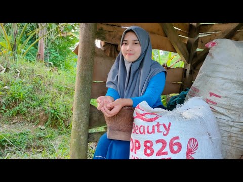 BIKIN TERPESONA SEJUTA ORANG MELIHAT KECANTIKAN DAN KELEMBUTAN NENG WULAN JANDA DESA SEDERHANA ...