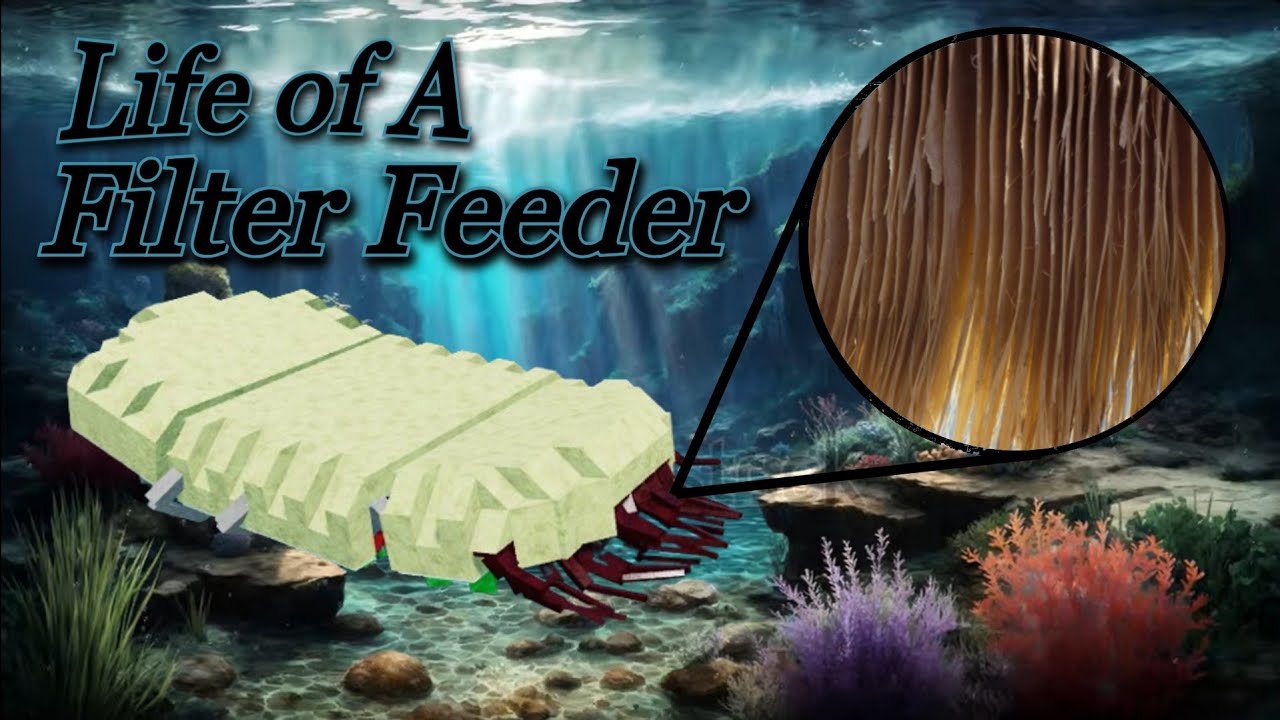 The Life of a Filter Feeder [Documentary] Evolve 3D - YouTube