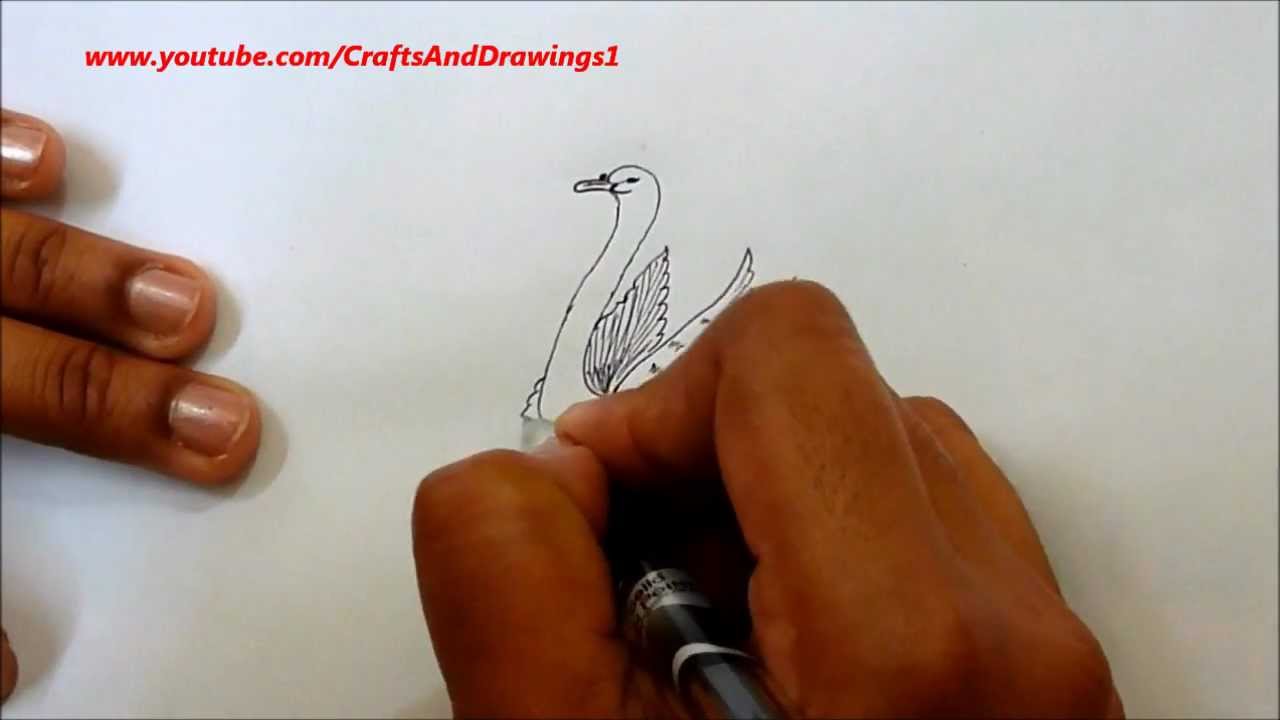 How to draw a Swan easily - YouTube