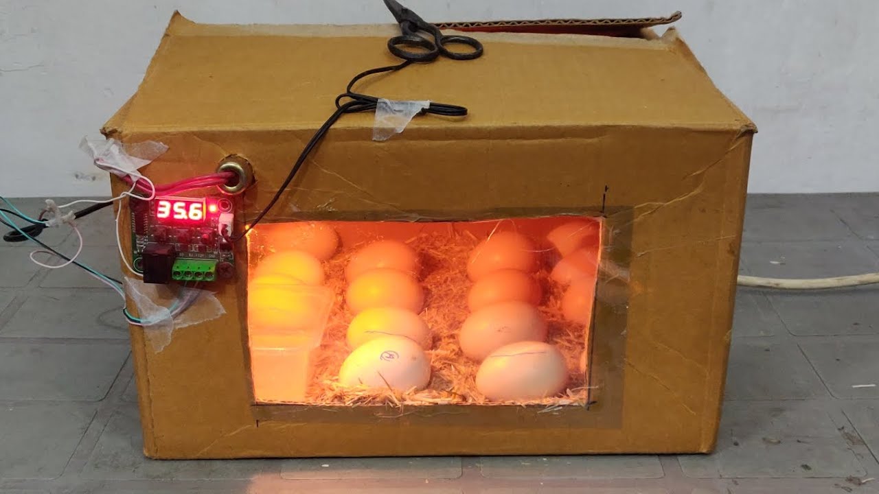 How to make DC Egg incubator at home - YouTube