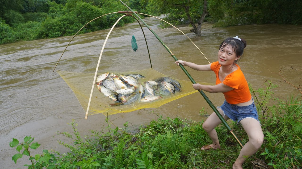 Harvesting Fish in flood season and cooking - Smart girl uses net to ...