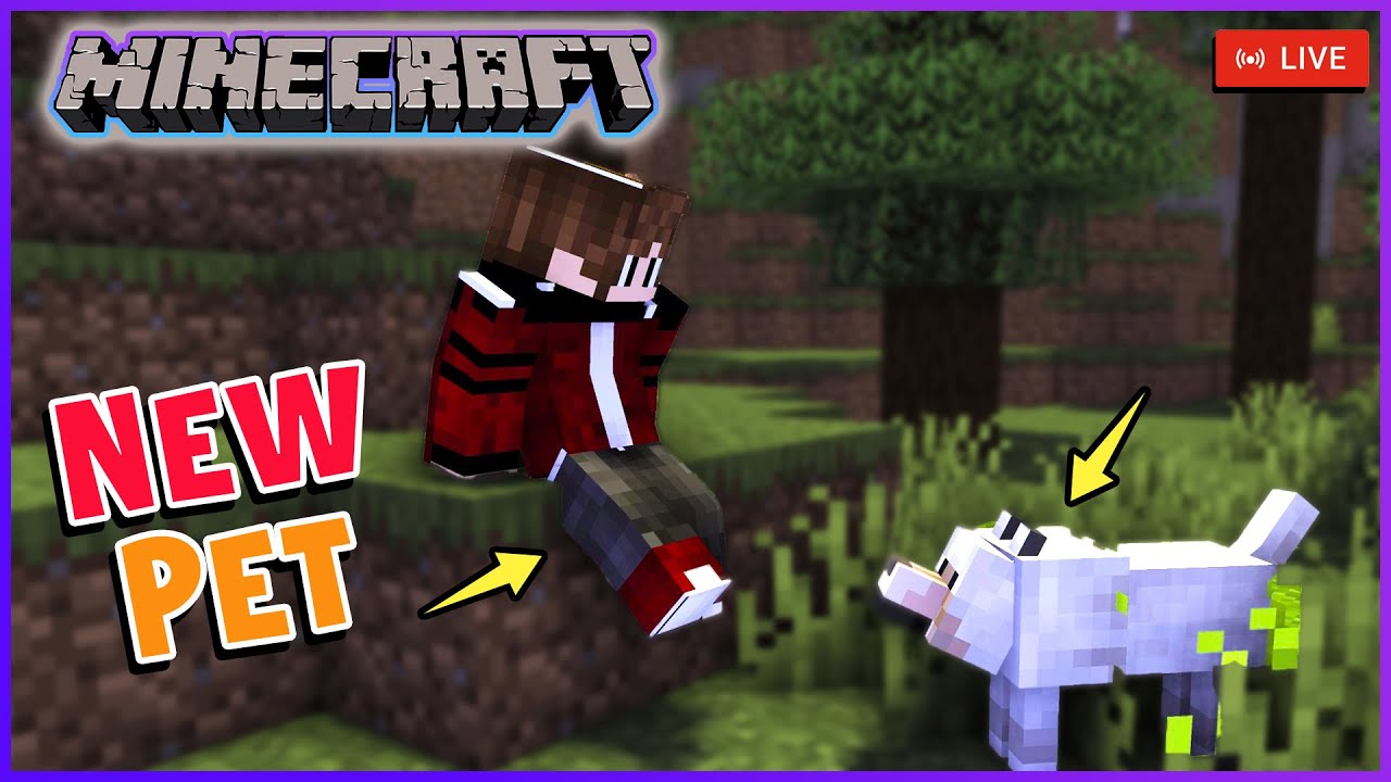 Let's Find New Pet's | Pets Are So Cute | MINECRAFT - YouTube