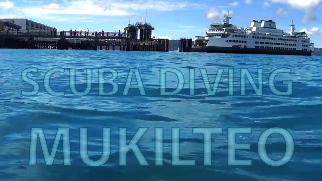 Cold Green Waters - Scuba Diving - Mukilteo Seattle - YouTube