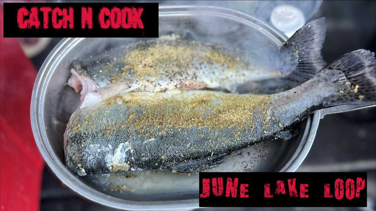 CATCH N COOK AT JUNE LAKE LOOP CA - YouTube