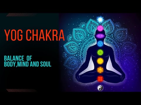 The Essesnce of Yog | International | Vlog| Yoga Day | Yog Divas ...
