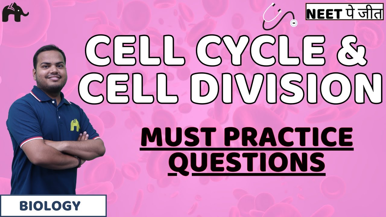 Cell Cycle and Cell Division Class 11 Biology NEET Must Practice ...