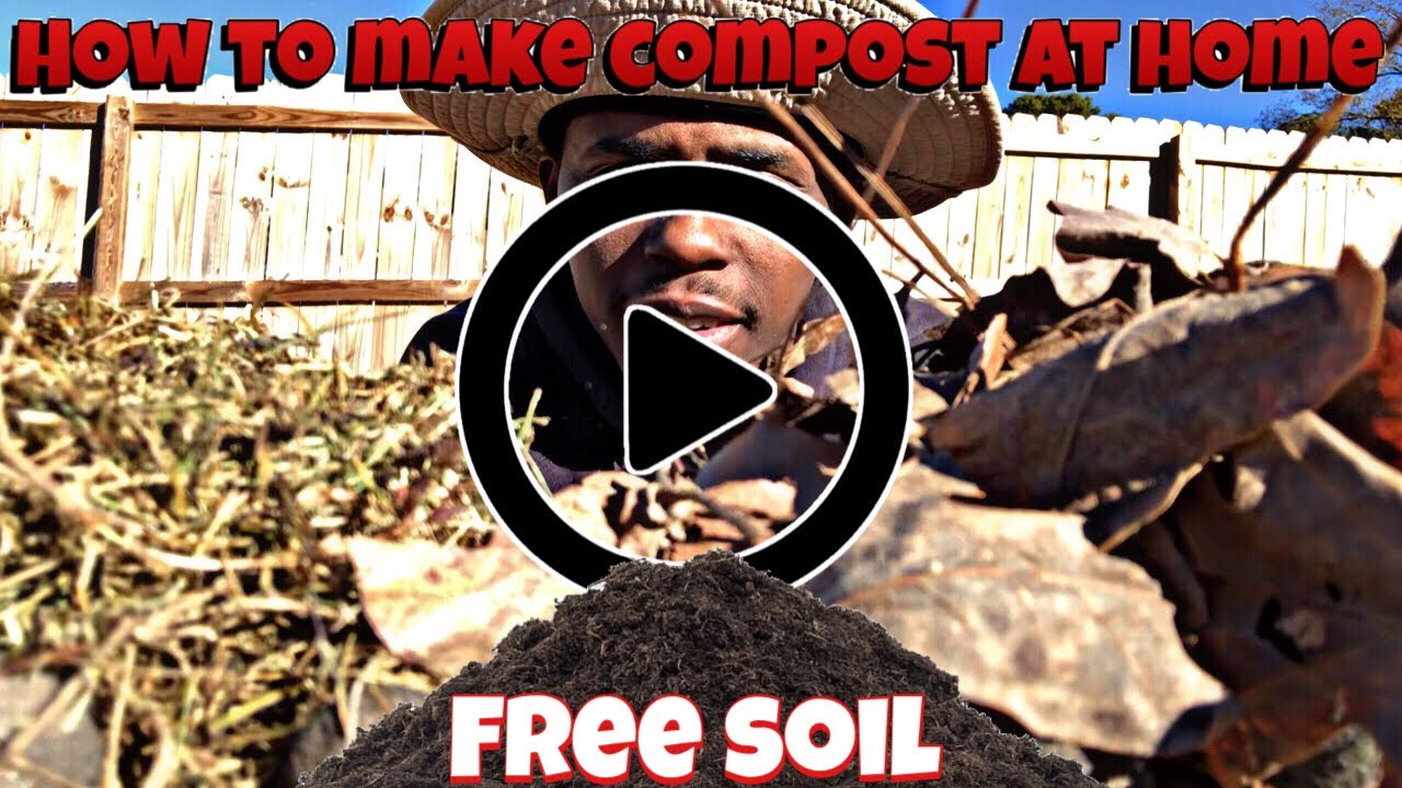 How do you Make Compost | How to Make Compost at Home | What can you ...