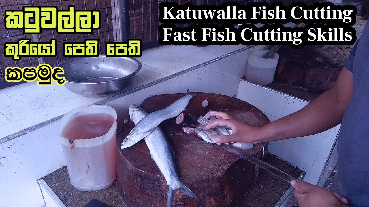 Katuwalla Fish Cutting | Slicing fish |Fast Fish Cutting Skills - YouTube