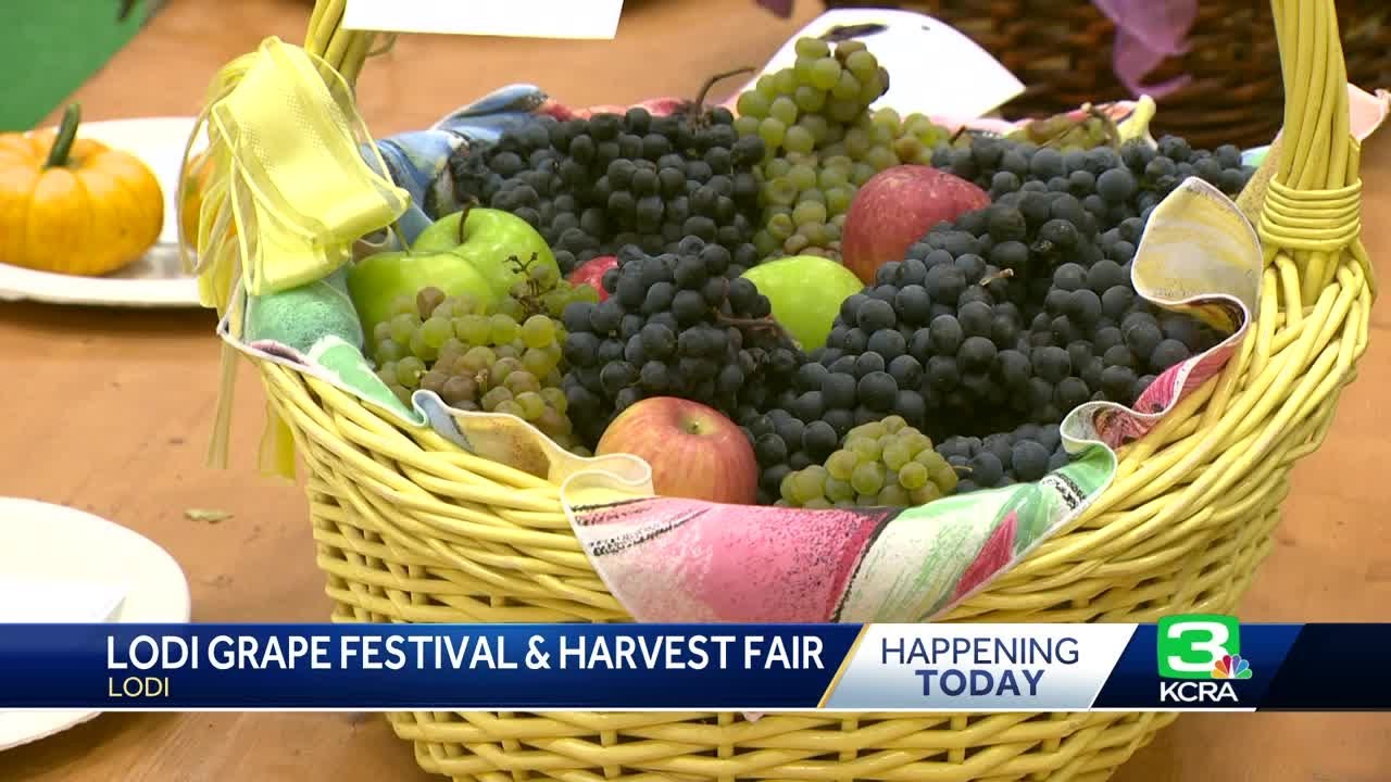 2024 Lodi Grape Festival begins four-day run - YouTube