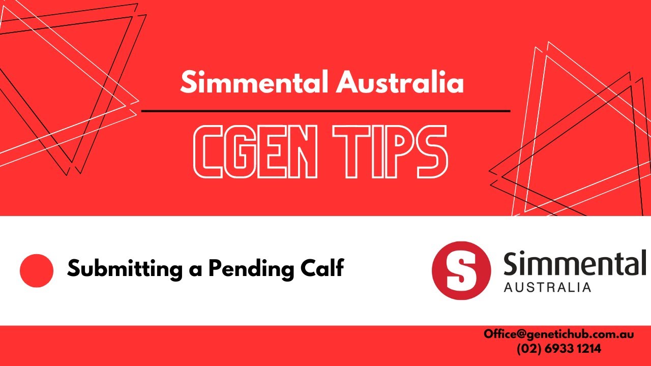 How to Submit Calf as Pending Simmental - YouTube