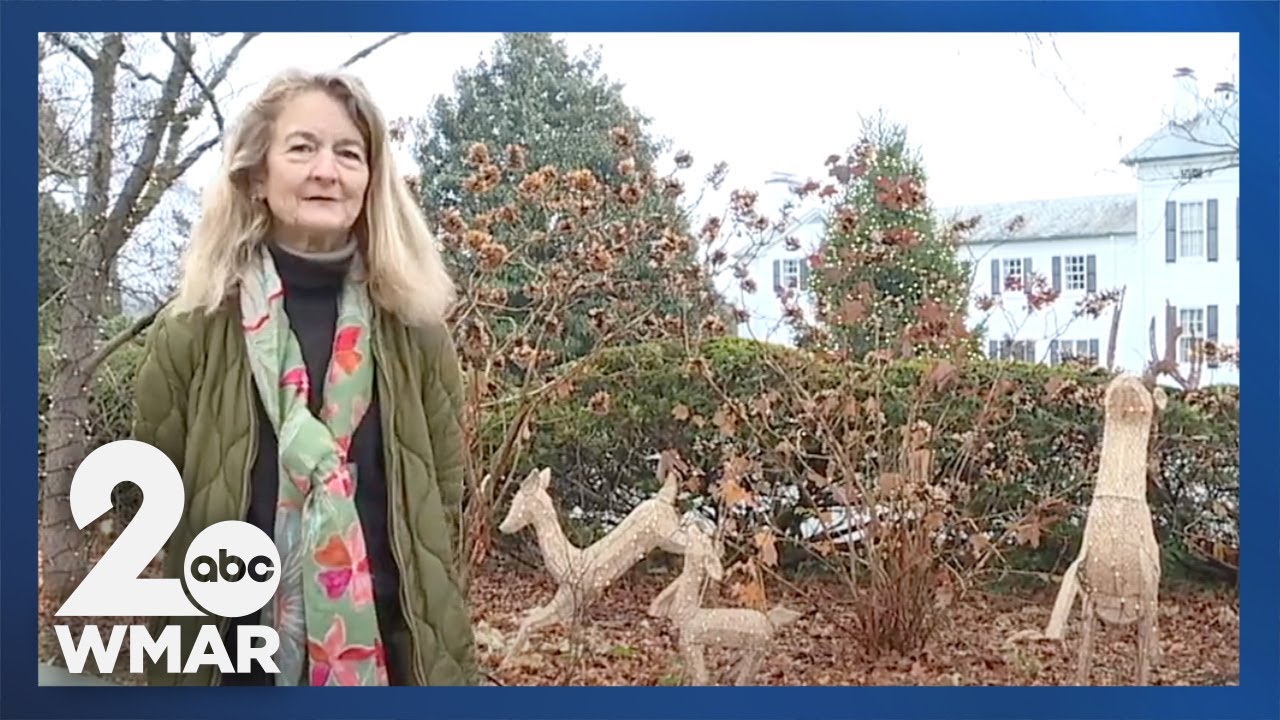 Ladew Topiary Gardens invites you to 'A Ladew Christmas' - YouTube