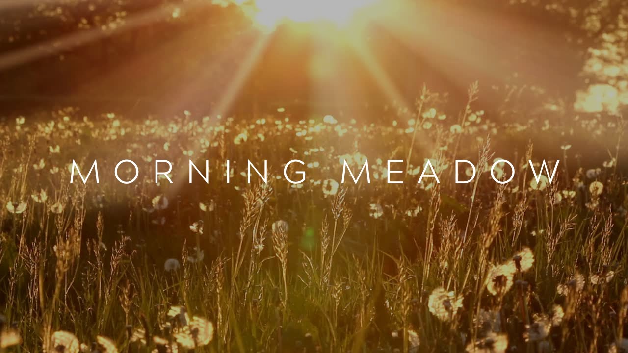 MORNING MEADOW SOUNDS for sleep, focus, study, and meditationㅣRELAXING ...