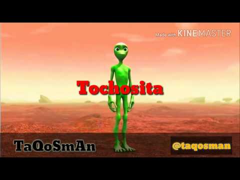 Tochocita(Videoclip Music)