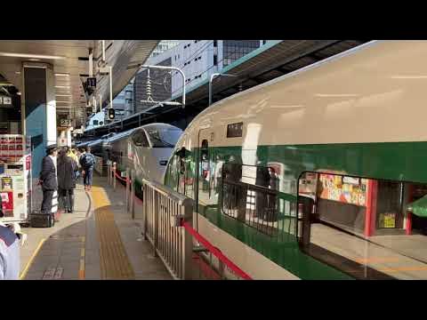 【東京駅☆激レア】E2系1000番台J66編成やまびこ+E3系2000番台L65編成つばさ停車 - YouTube