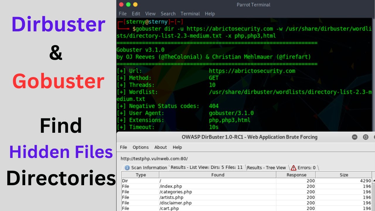 How to use Go-buster or Dirbuster to Find Hidden Files/Directories ...