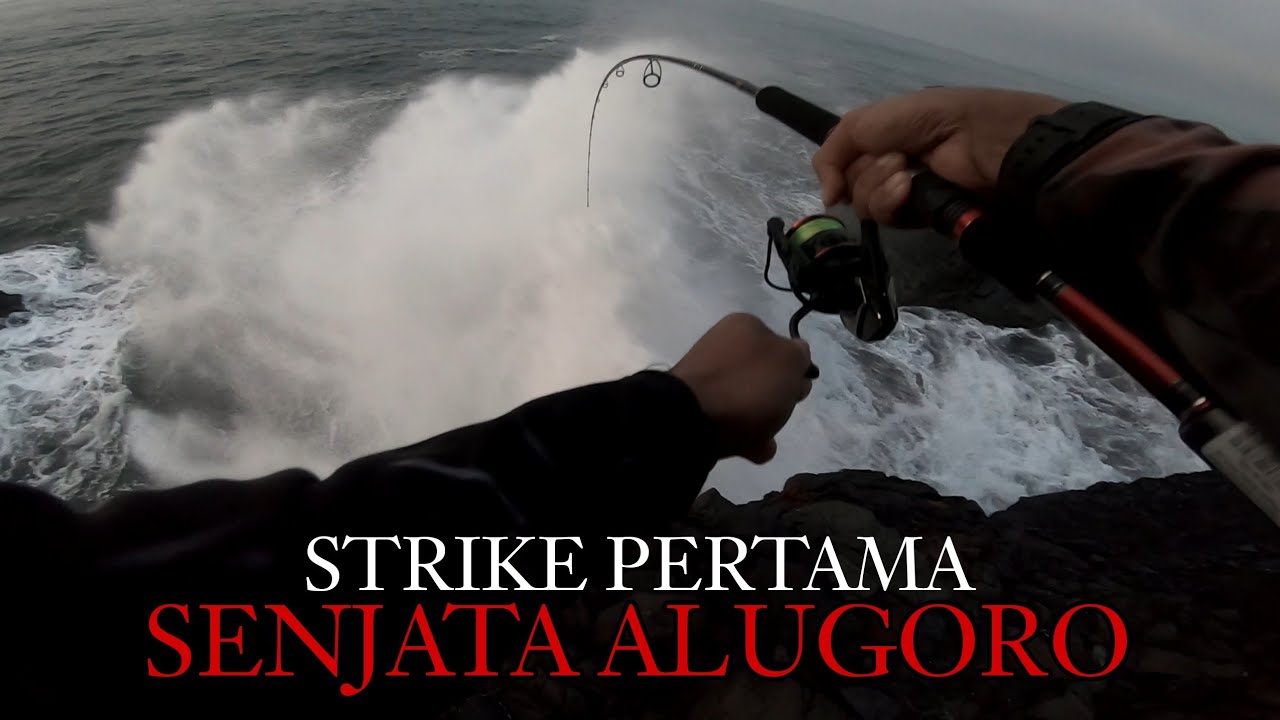 Senjata Baru Pasukan Karang Alugoro Dan Reel Okuma Ceymar HD 5000 ...