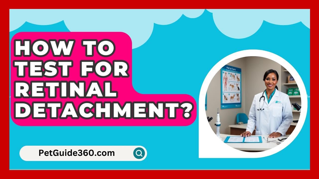 How To Test For Retinal Detachment? - PetGuide360.com - YouTube