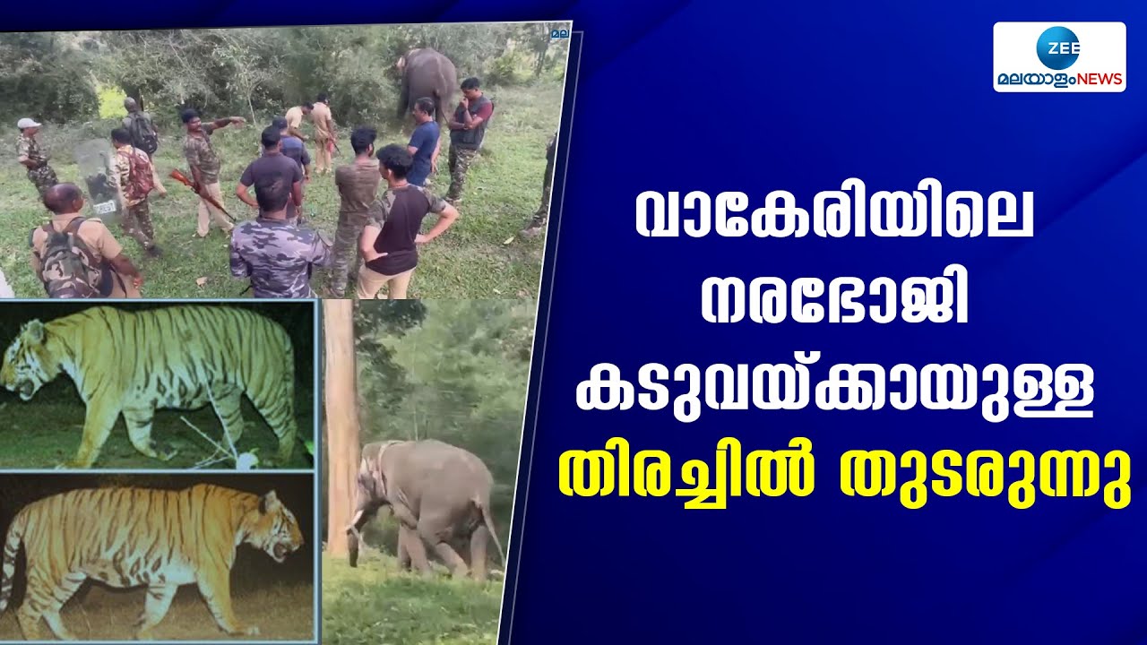 Wayanad Tiger Attack | വാകേരിയിലെ നരഭോജി കടുവയ്ക്കായുള്ള തിരച്ചി ...