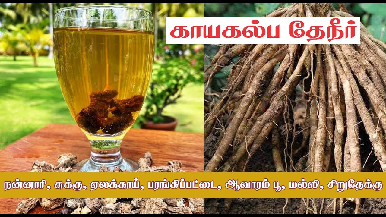 Kayakalpa Tea | Nannari Tea | Herbal Tea | Summer Cooling Tea | காயகல்ப ...