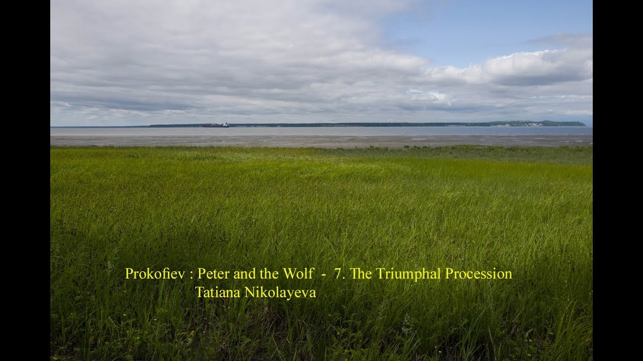 Prokofiev : Peter and the Wolf - 7. The Triumphal Procession - YouTube